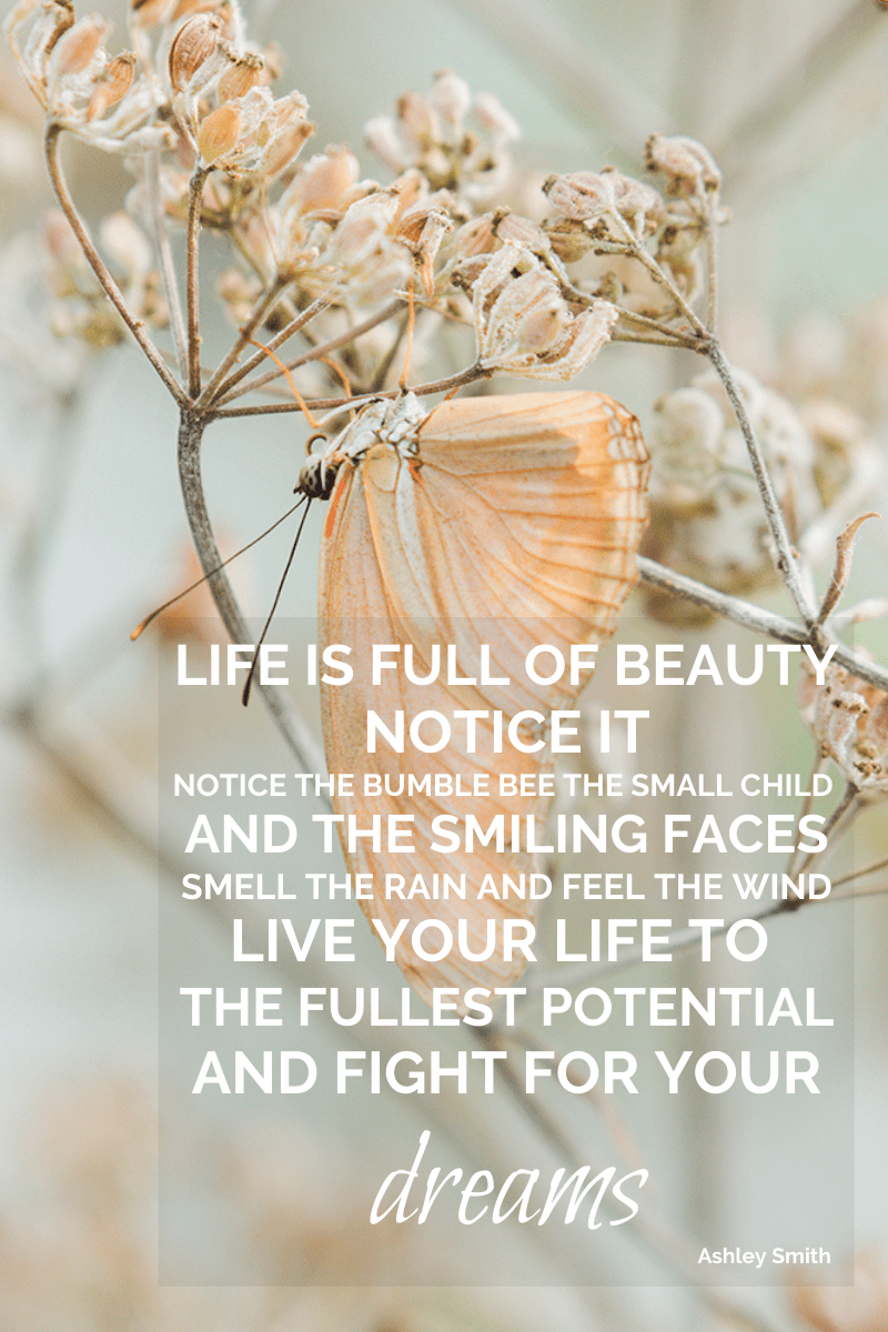 100 inspirerende quotes over wandeldingen | Wandeldingen.nl