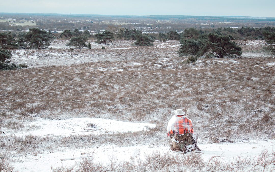 Wandelen over de Archemerberg | Wandeldingen.nl