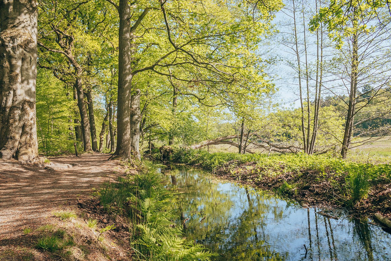 100 wandelroutes op de Veluwe