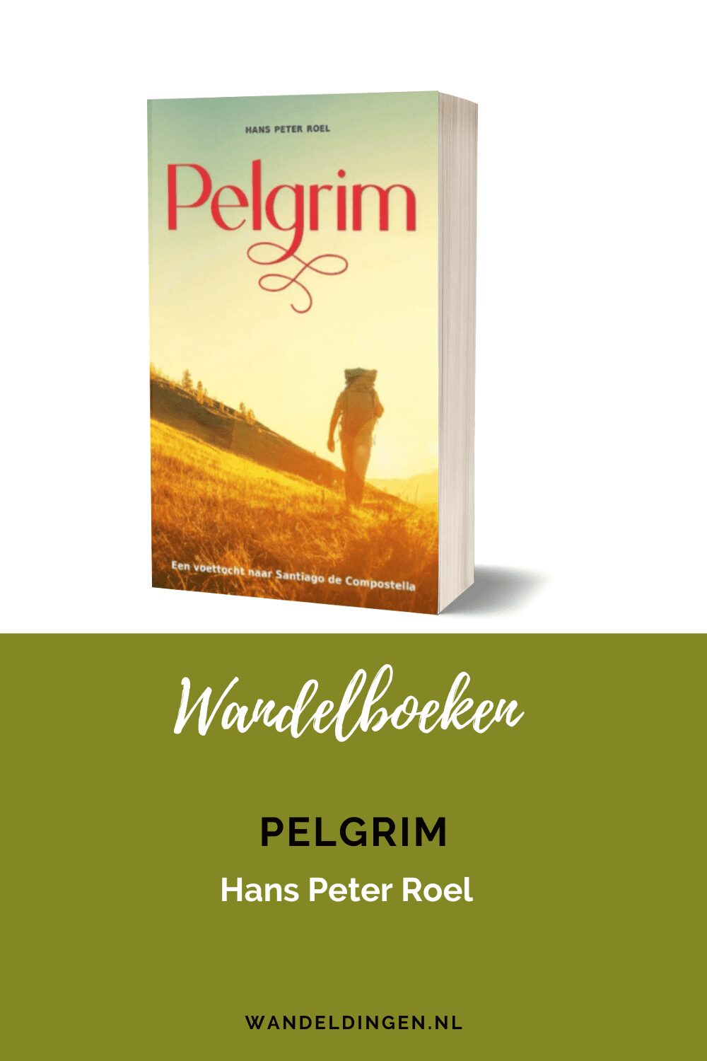 Pelgrim - Hans Peter Roel | Wandeldingen.nl
