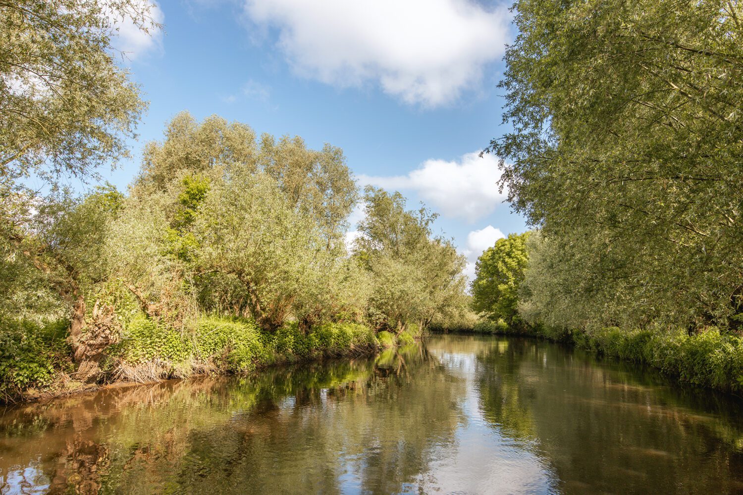 Wandelen langs de Dommel bij Liempde | Wandeldingen.nl