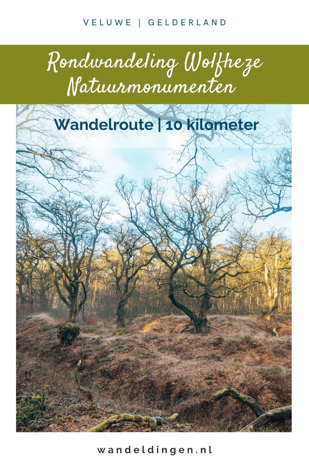 Rondwandeling Wolfheze Natuurmonumenten | Wandeldingen.nl