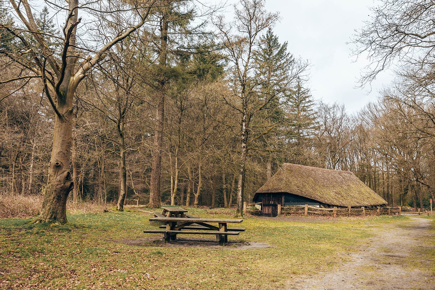 ‘t Pad van Zus | Wandeldingen.nl
