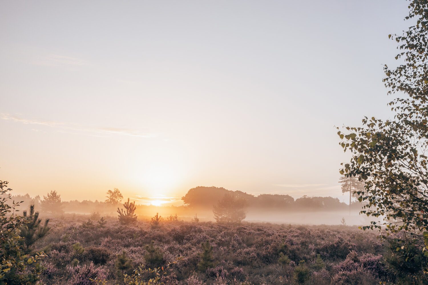 8x Wandelen rondom Zeist | Wandeldingen.nl
