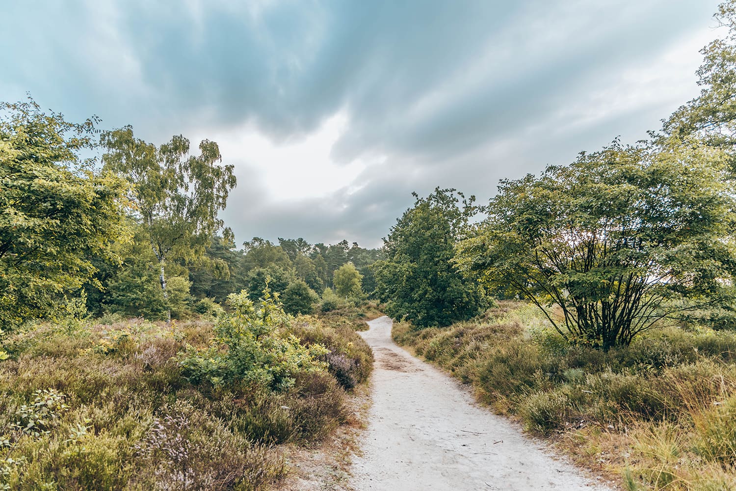Komootroute De Stulp | Wandeldingen.nl